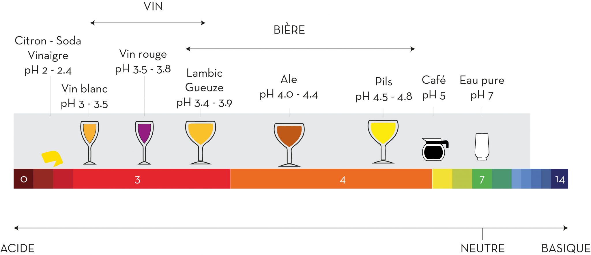 Acidité des bières et bières acides – Brasserie La Montagnarde